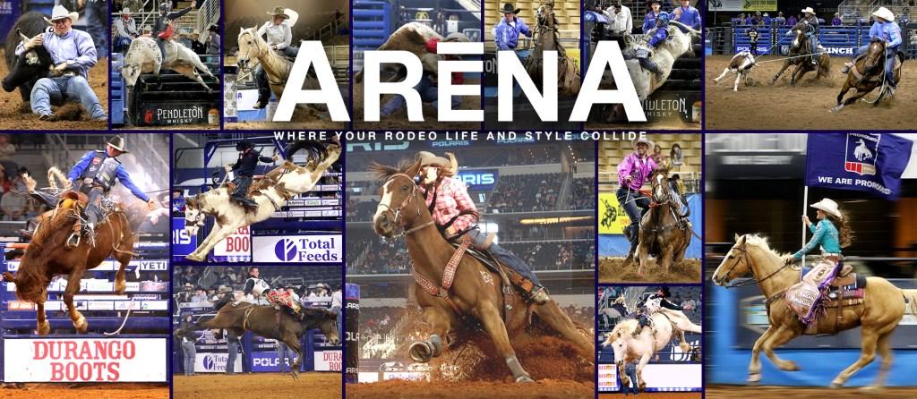 WELCOME TO THE ARENA! - The ARENA