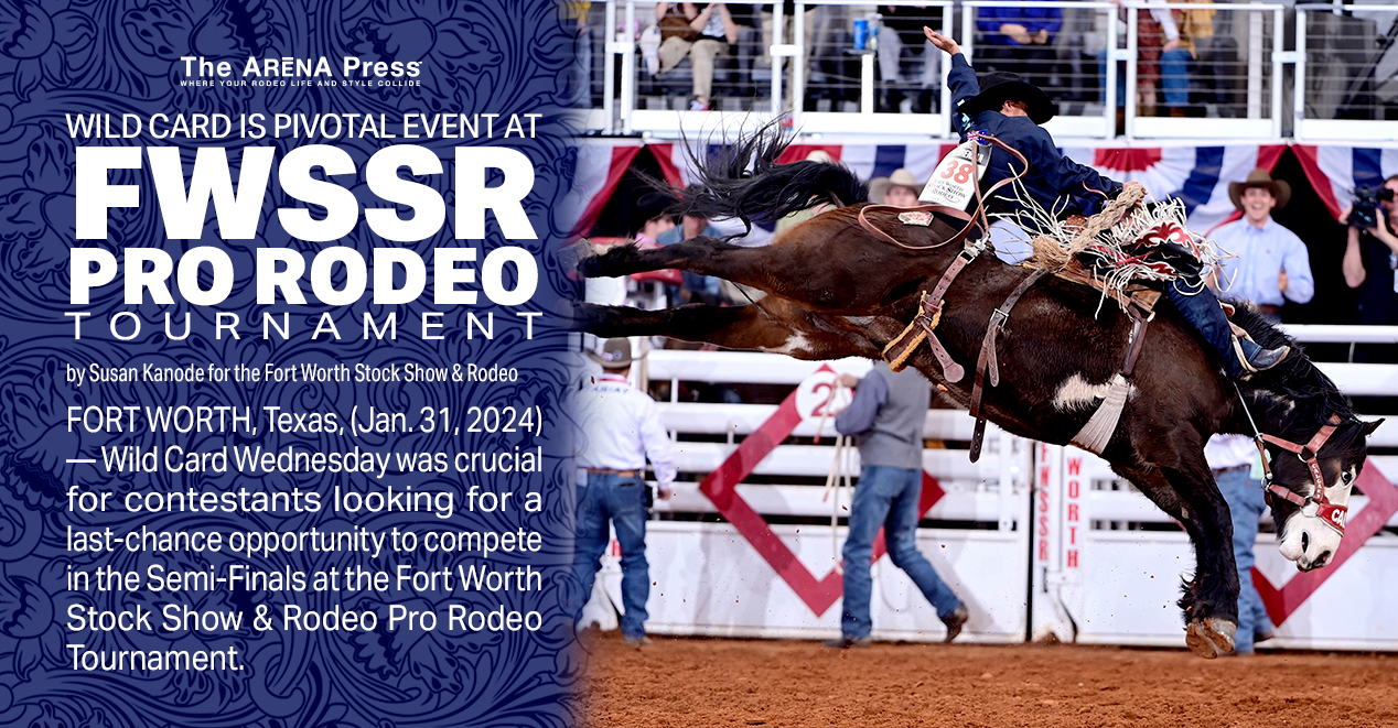 Bradlee Miller Shines on Wild Card Wednesday